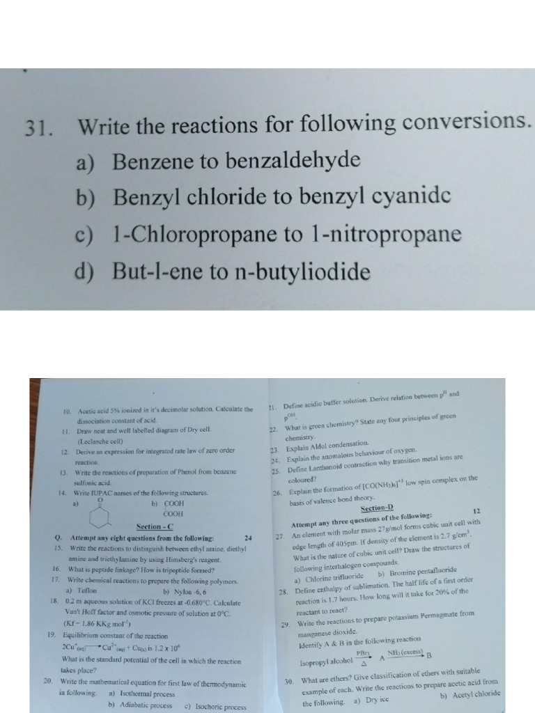 24-25 Preliminary Question Paper | PDF