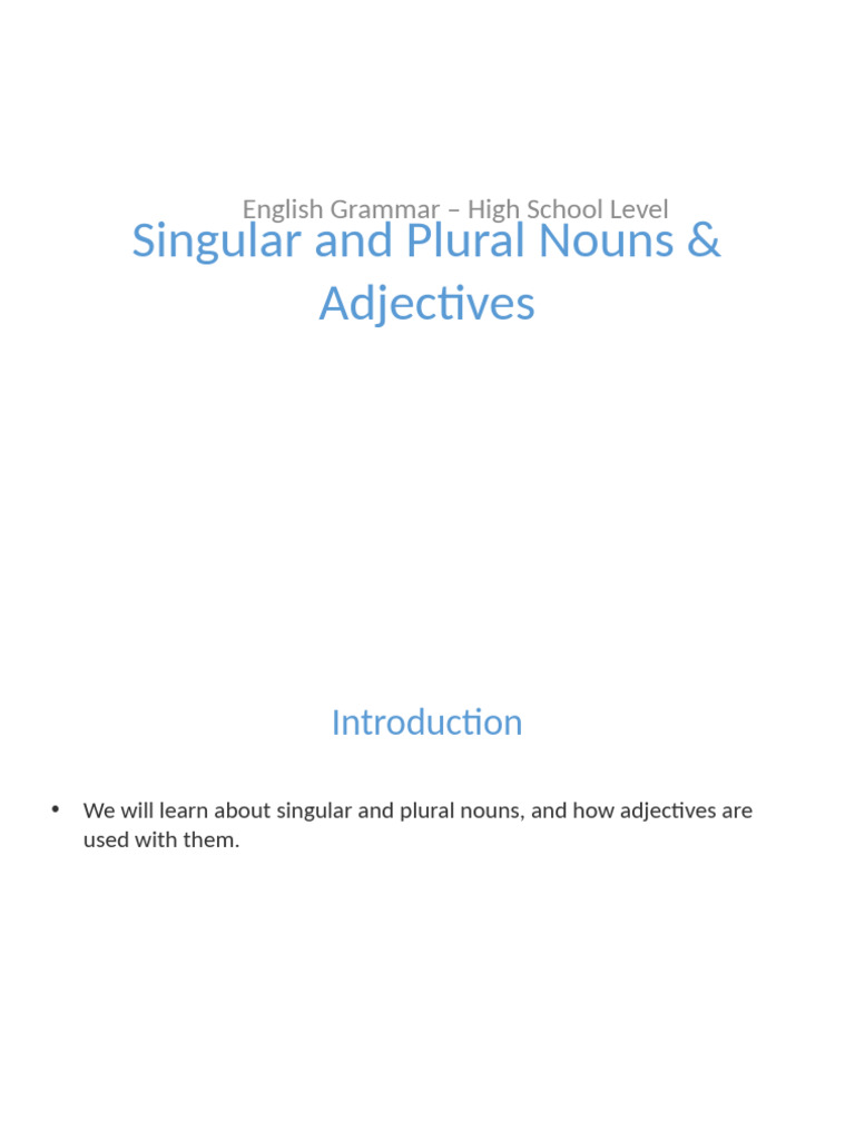 Singular Plural Nouns Adjectives | PDF