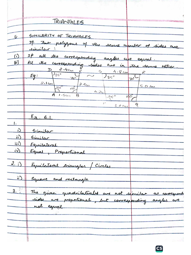 10TH Triangles Tution NOTES - 5 | PDF