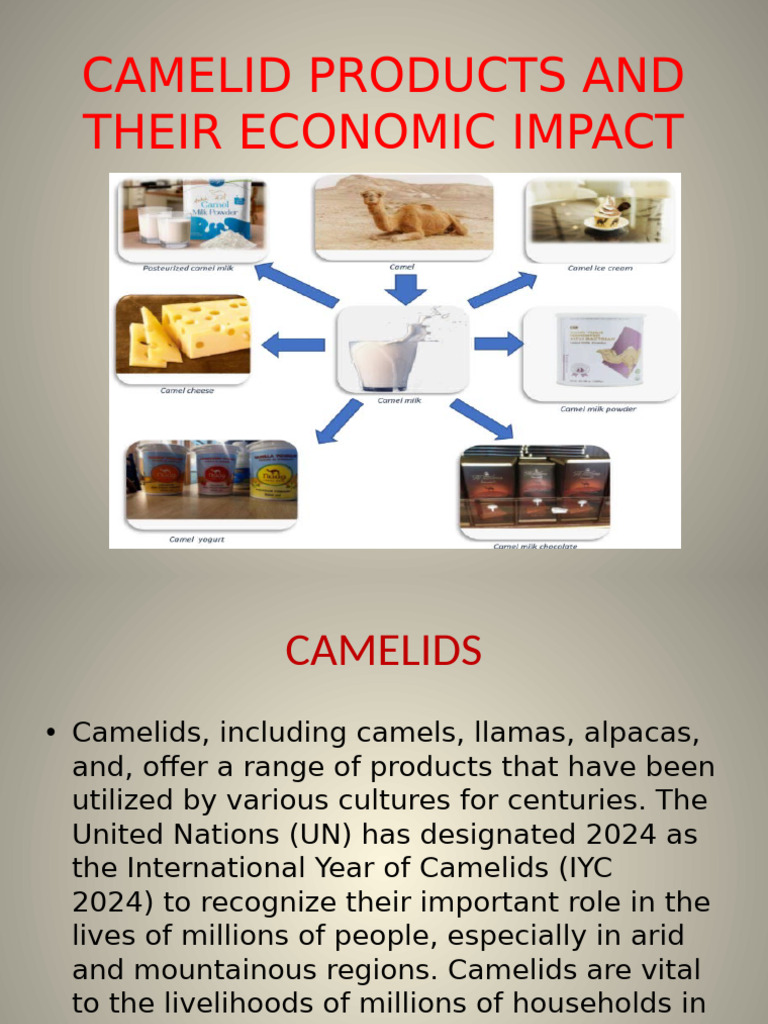 Camelid Products and Their Economic Impact Final | PDF | Wool | Camel