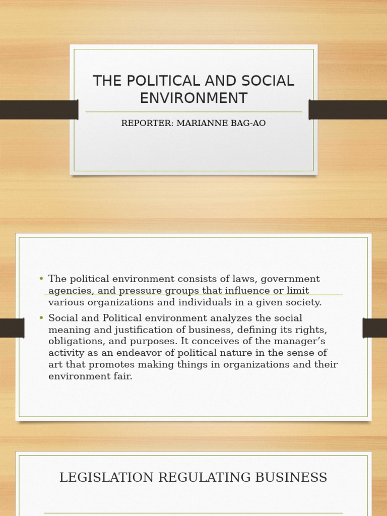 The Political and Social Environment-Pmb | PDF