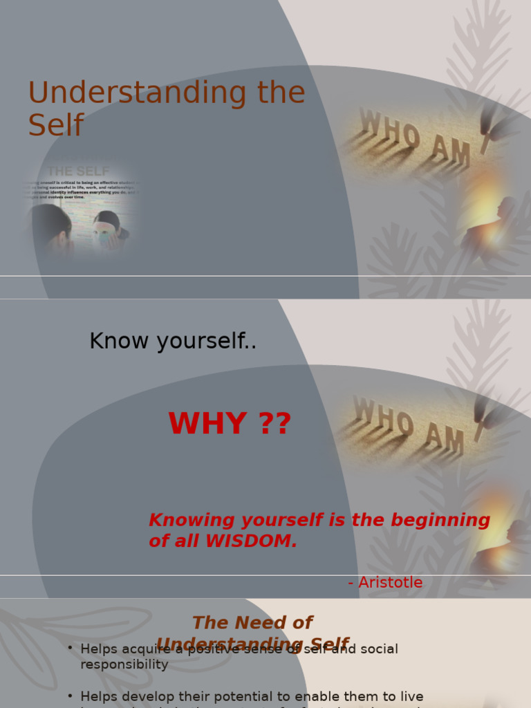 Understanding the Self Lesson 1 | PDF | Self | Philosophy Of Self