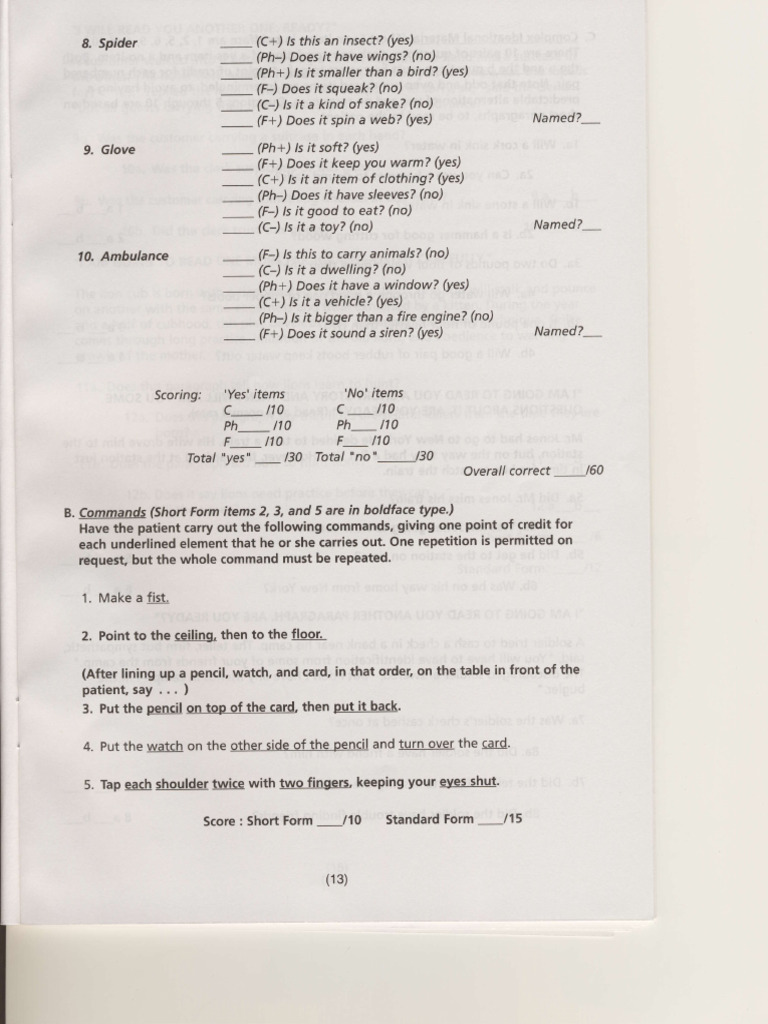 Boston Diagnostic Aphasia Examination (13 15) | PDF