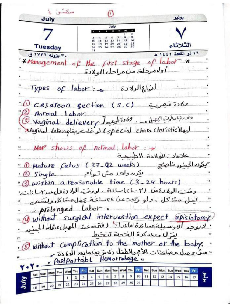 ملخص First Stage of Labor | PDF