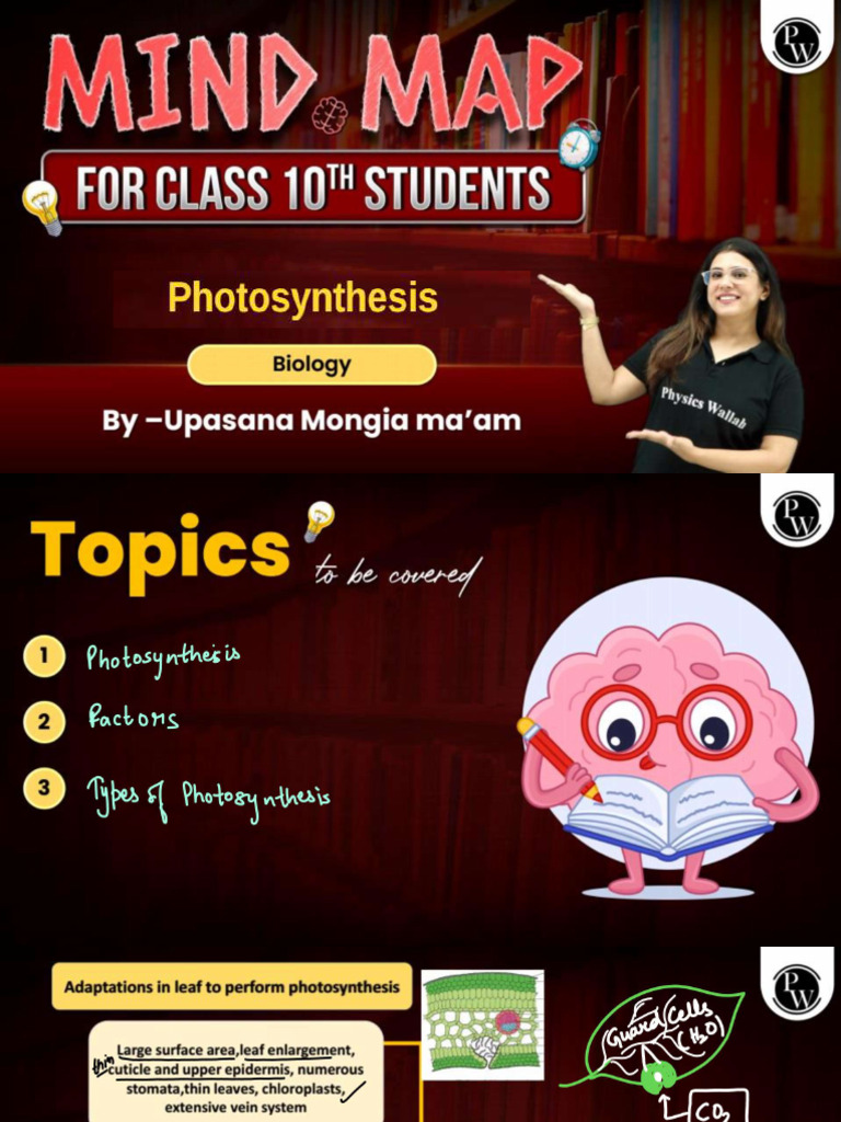 Photosynthesis - Class Notes - Class 10th ICSE Mind Map Series | PDF