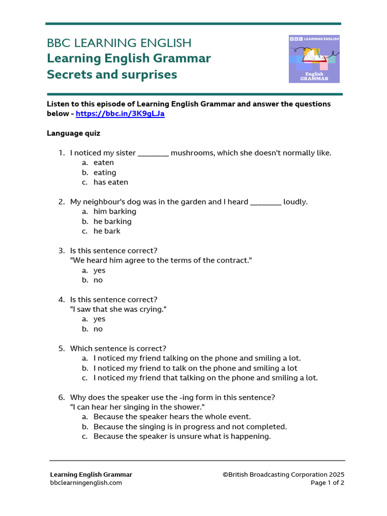 Learning English Grammar Secrets and Surprises Worksheet | PDF