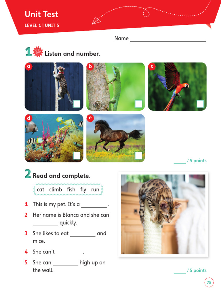 Level 1 Unit 5 Animal Assessment Test | PDF