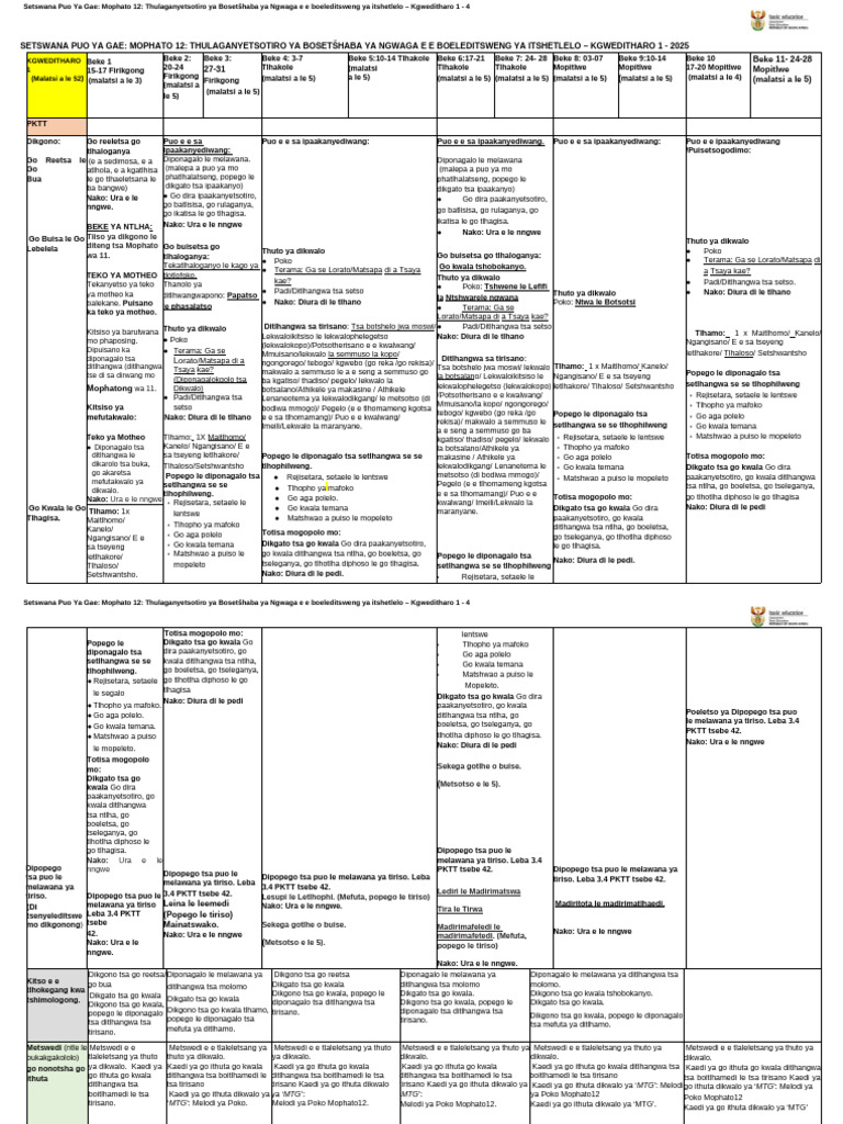 Setswana Language Curriculum Overview | PDF | Languages Of Africa