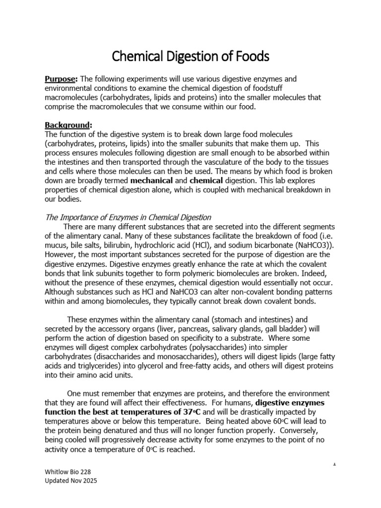 Chemical Digestion of Foods | PDF | Digestion | Stomach