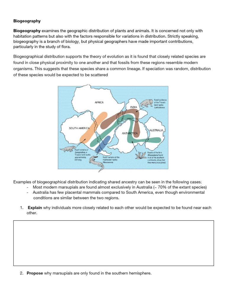 Paarth Mehta - Evidence of Evolution - Fossils | PDF | Biogeography ...