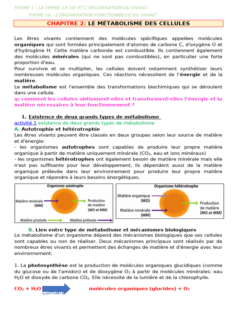 Métabolisme cellulaire : autotrophie et hétérotrophie | PDF ...