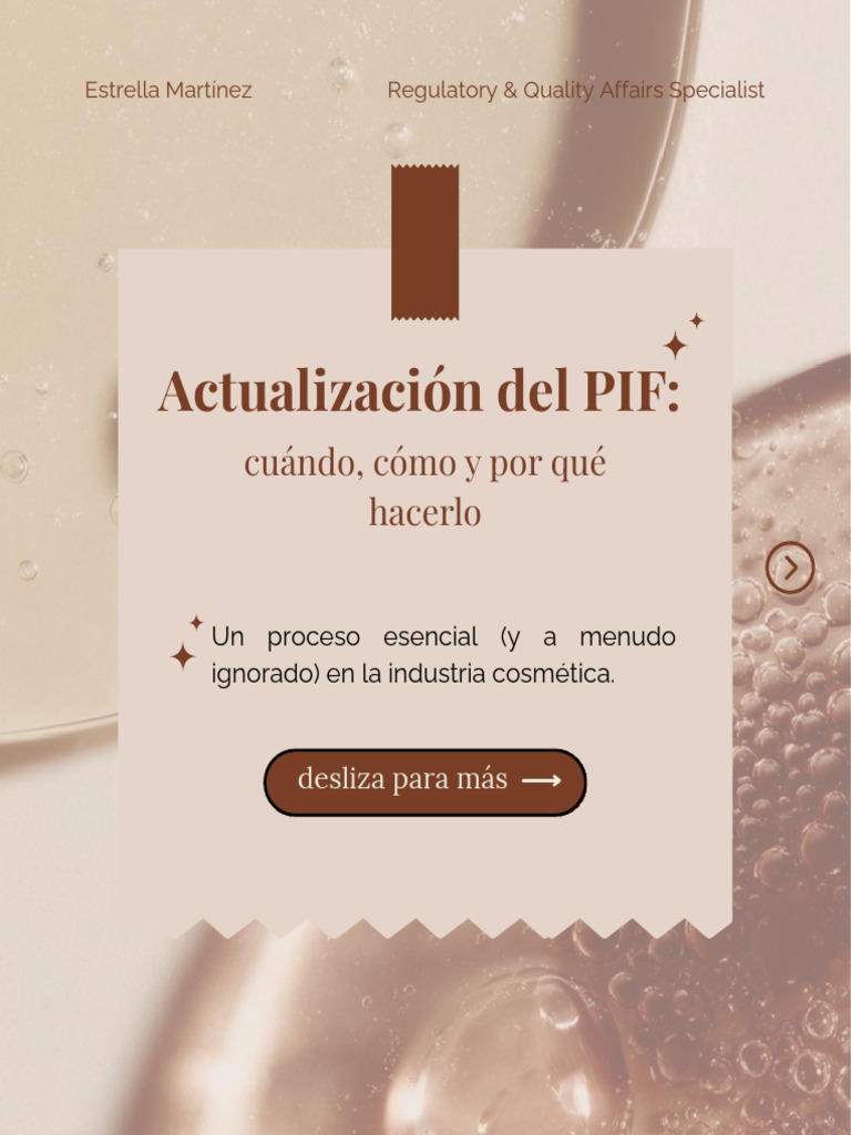 Actualización PIF | PDF