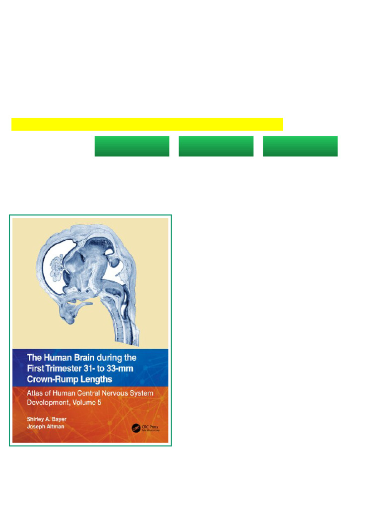 (Ebook) The Human Brain During The First Trimester 31-To 33-mm Crown ...
