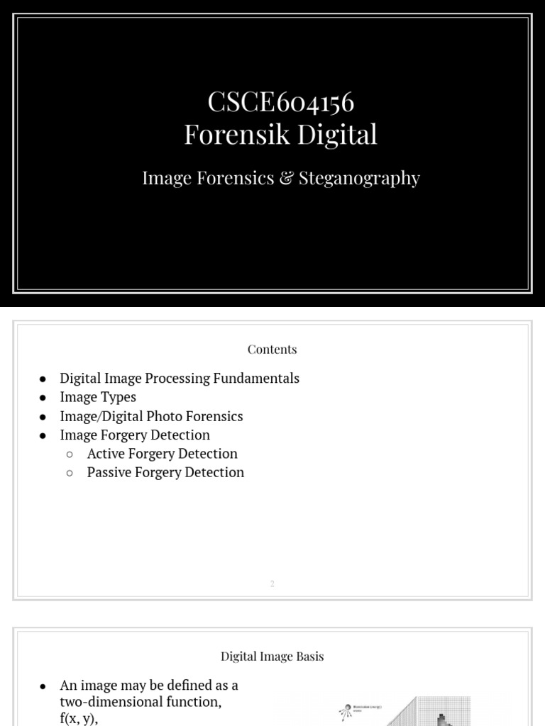 Digital Image Forensics & Steganography | PDF | Data Compression | File ...