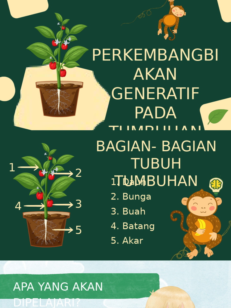 Perkembangbiakan Generatif Pada Tumbuhan | PDF