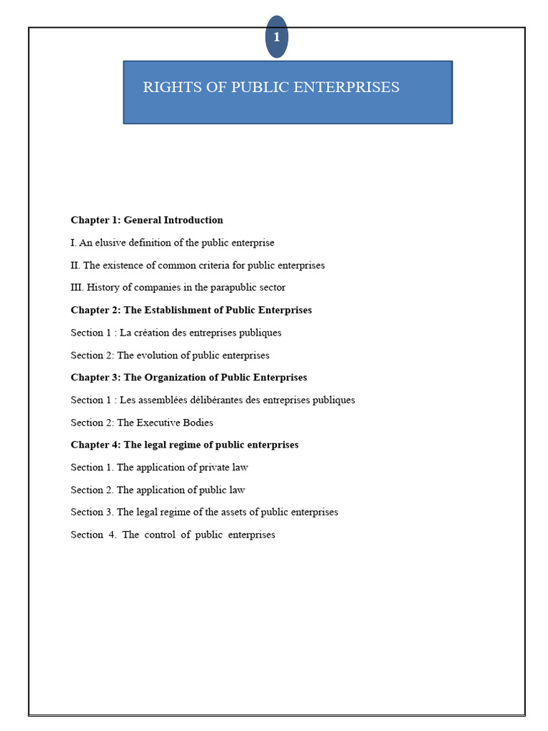 Public Enterprise Law Course DPE II | PDF | Privatization | State Owned ...