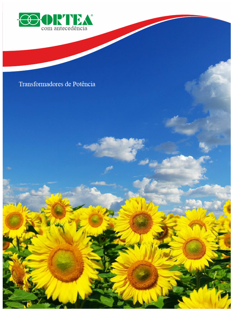 Transformadores de Potência ORTEA: Qualidade e Inovação | PDF ...