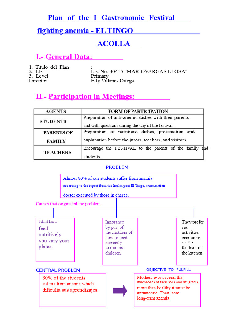 Anemia Plan | PDF