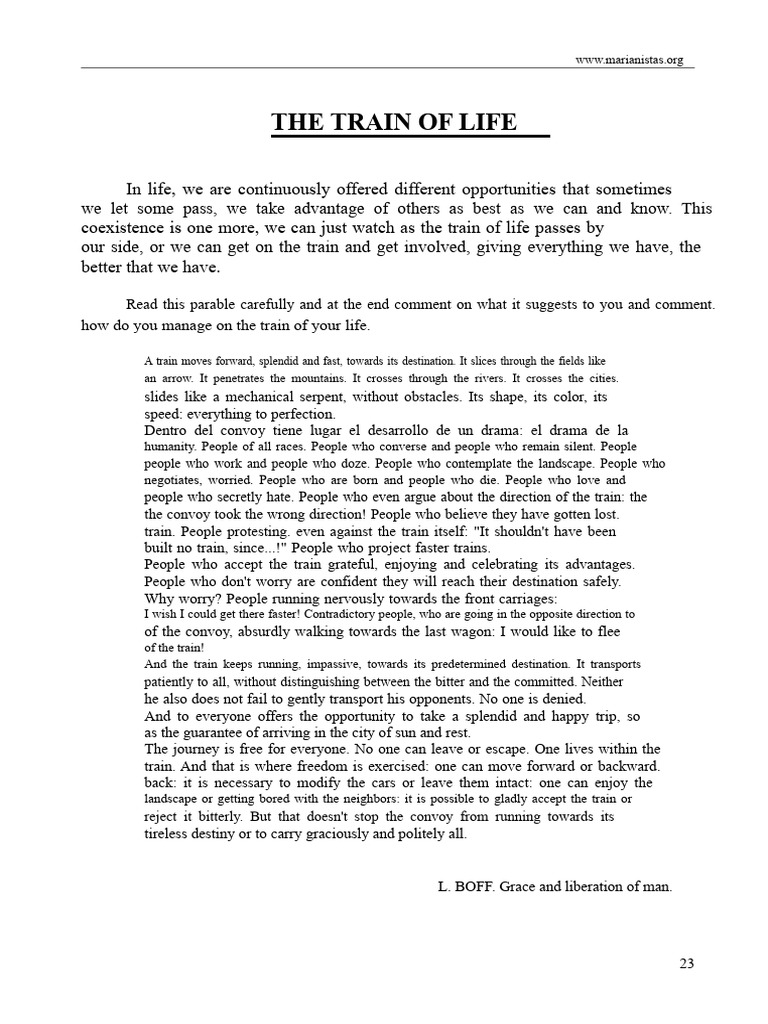 Reflection The Train of Life | PDF