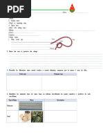 Basic Ropemanship Training Guide | PDF | Knot | Rope
