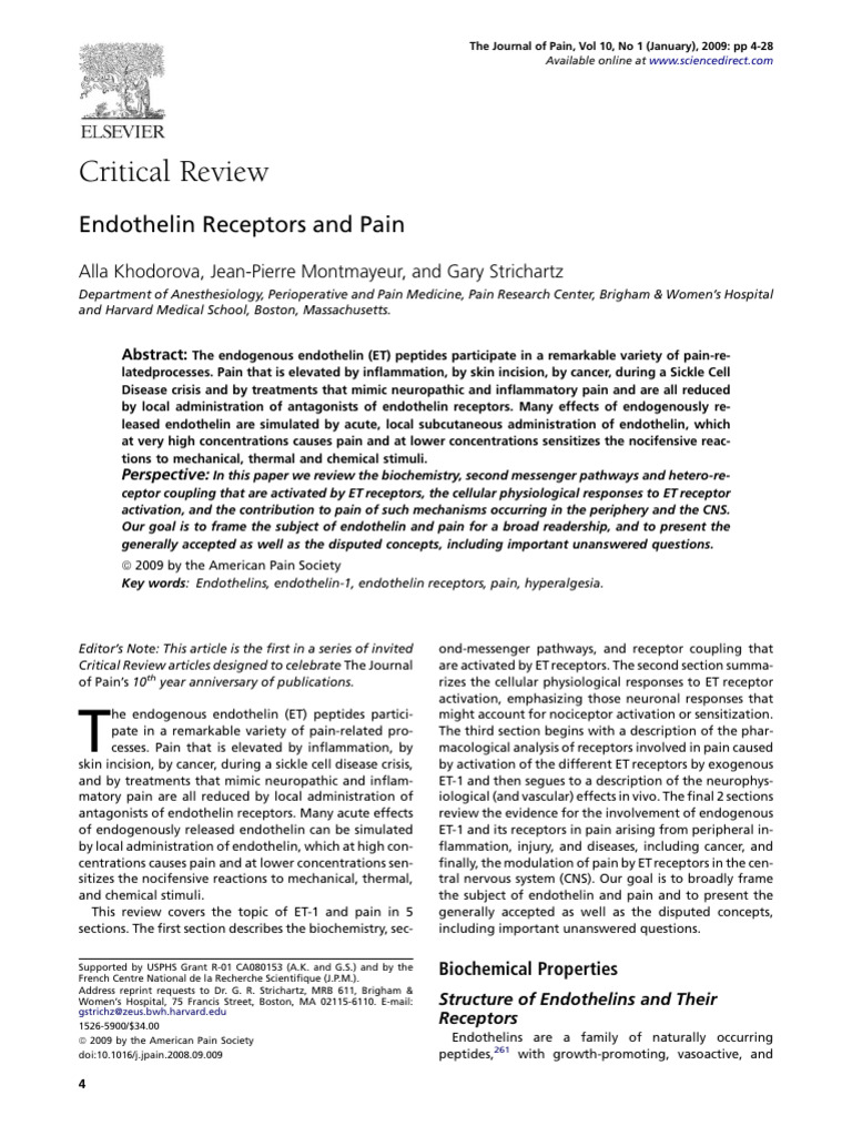 Endothelin Receptors and Pain | PDF | Cell Signaling | Cell Biology
