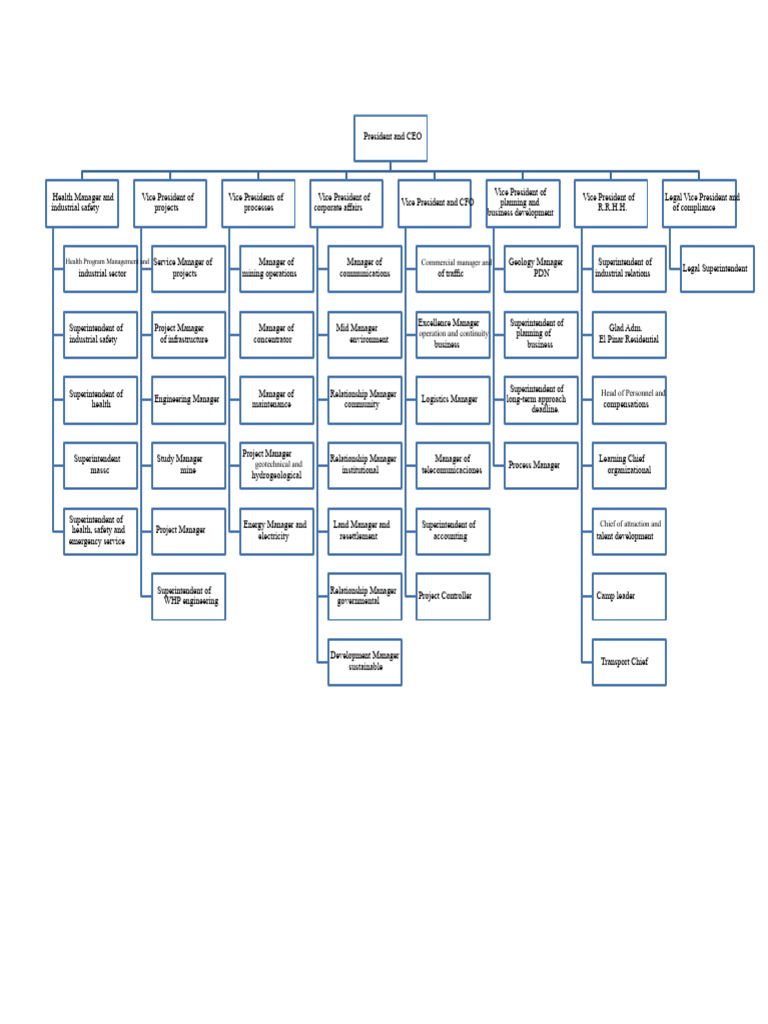 Executive Leadership Roles Overview | PDF | Corporate Governance ...