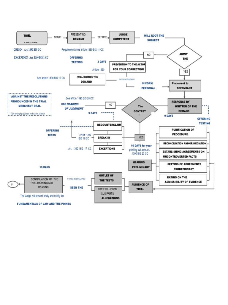 Conceptual Map Oral Merchant Trial | PDF | Trials | Lawsuit