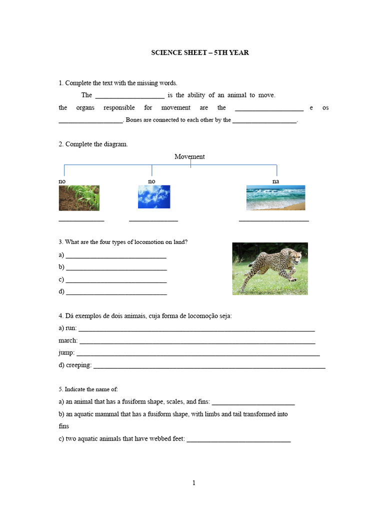 5th Year Science: Animal Locomotion Guide | PDF | Animal Locomotion | Fin