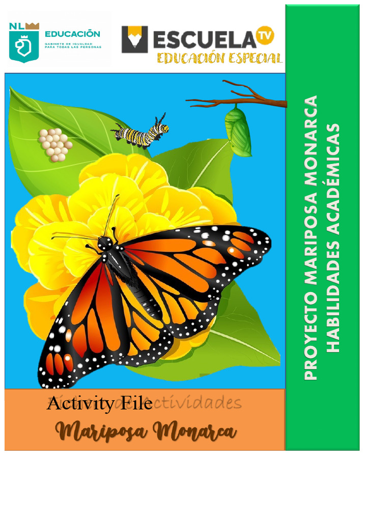 Monarch Butterfly Project | PDF | Pupa | Butterfly