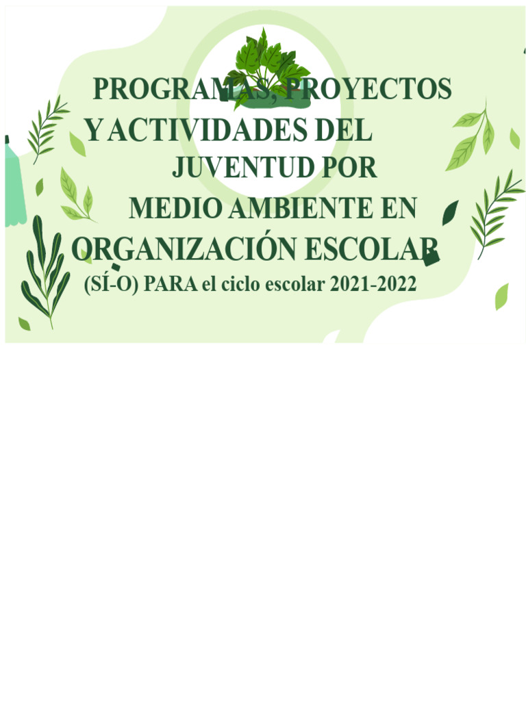 Programas, Proyectos y Actividades de La Organización Juvenil Por El Medio Ambiente en Las ...