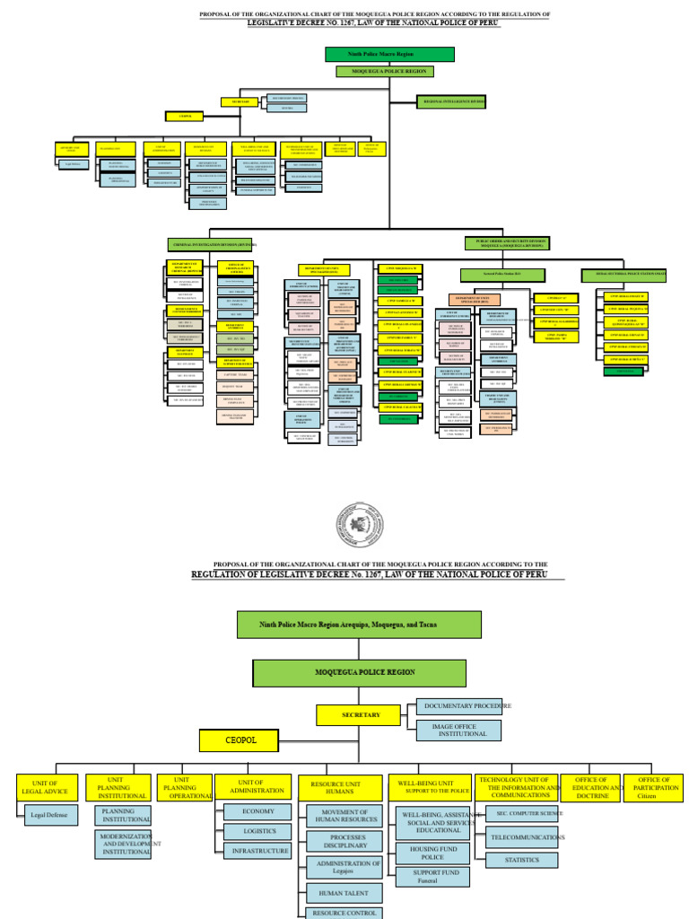 Proposal For The Organic Structure and Organizational Chart | PDF ...