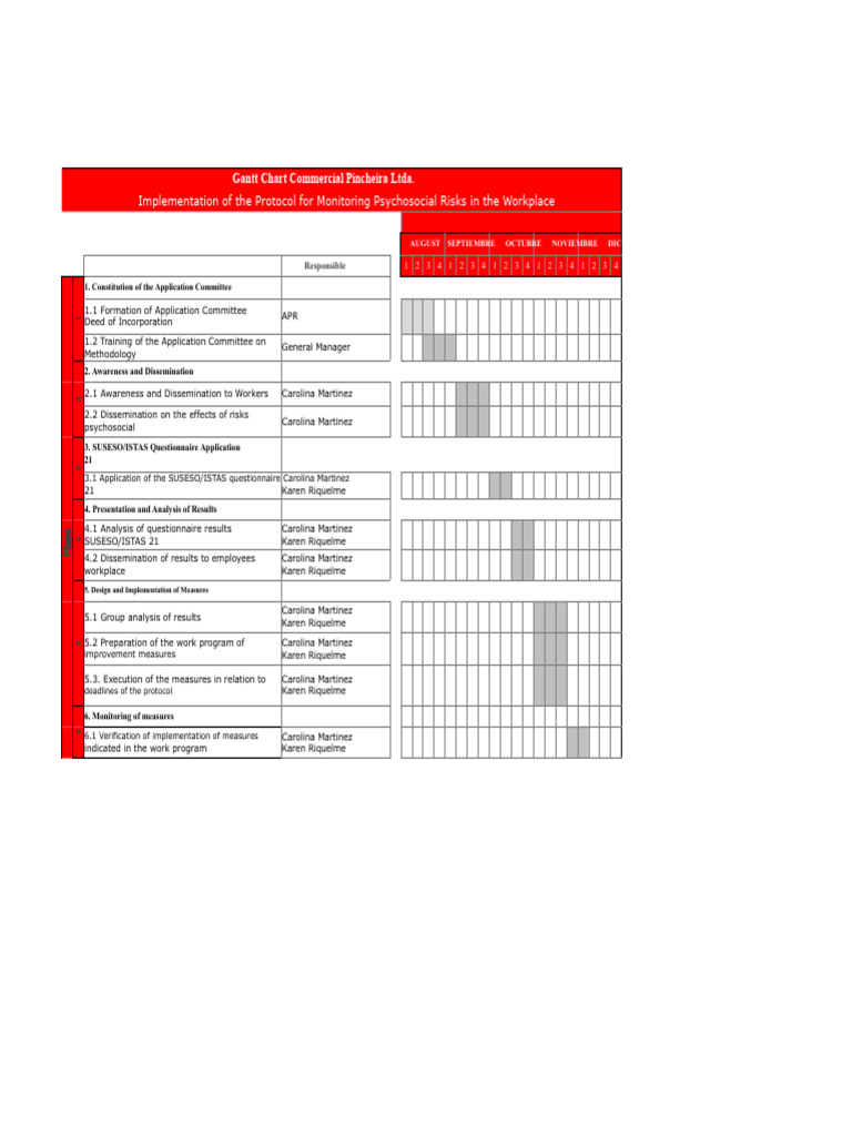Psychosocial Gantt Chart pp2 | PDF