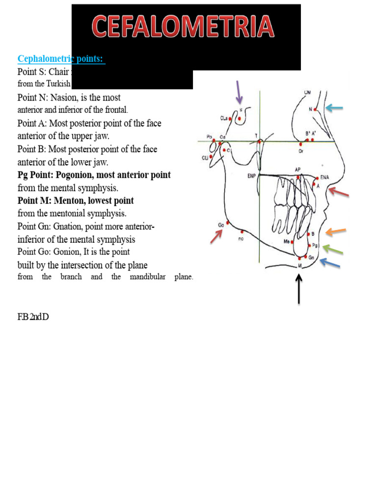 Cephalometric Points and Angles Guide | PDF | Medical Diagnosis | Tooth