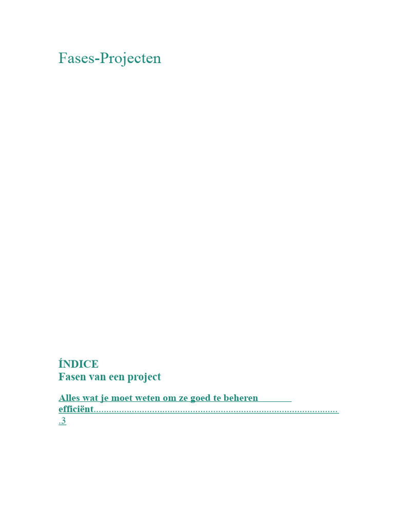 Fases Van Een Project | PDF