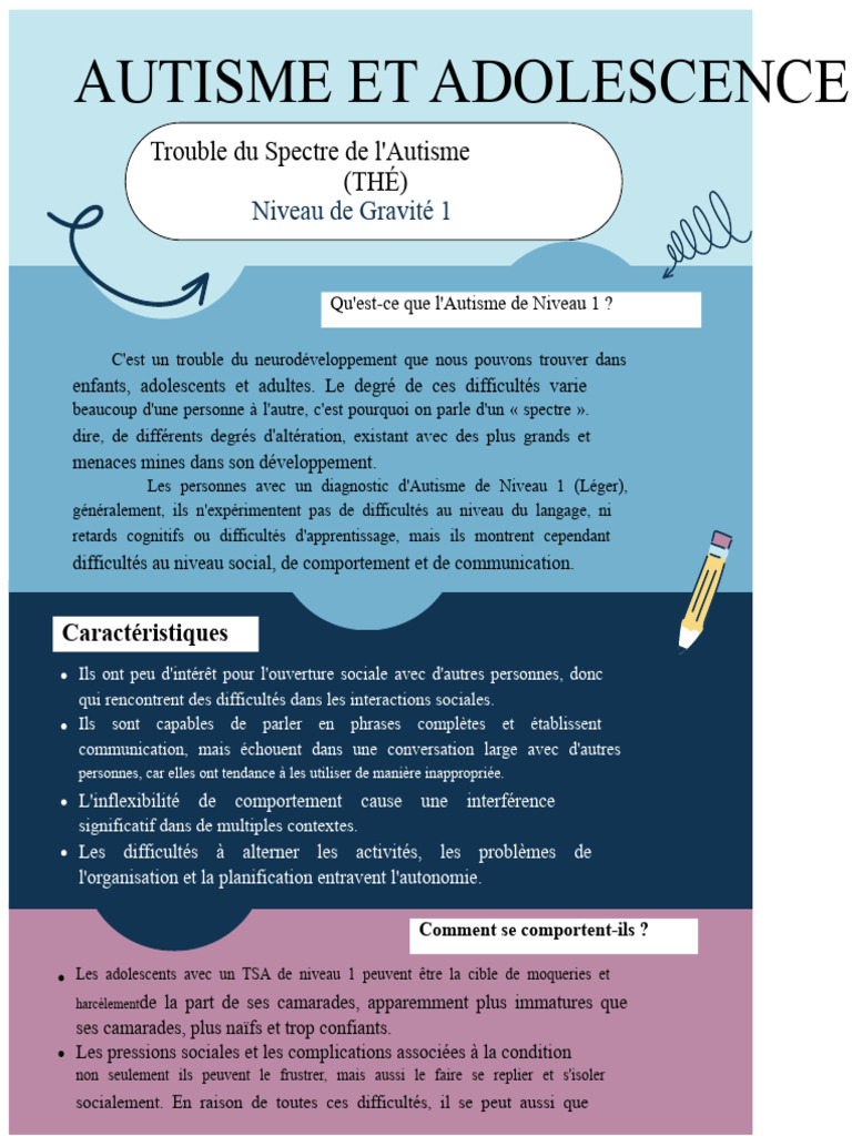 Autisme de Niveau 1 chez les Adolescents | PDF