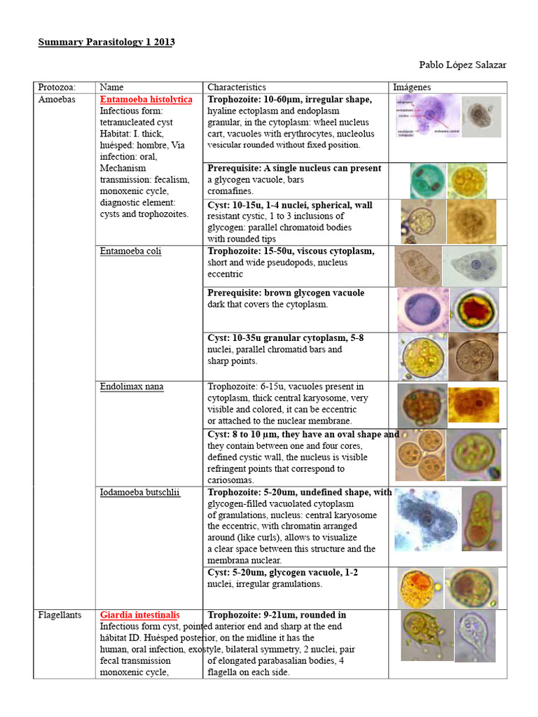 Parasitology Overview: Protozoa & Nematodes | PDF