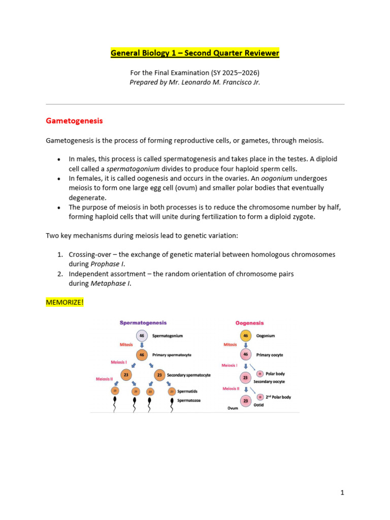 General Biology 1 Final Exam Reviewer | PDF | Cellular Respiration ...