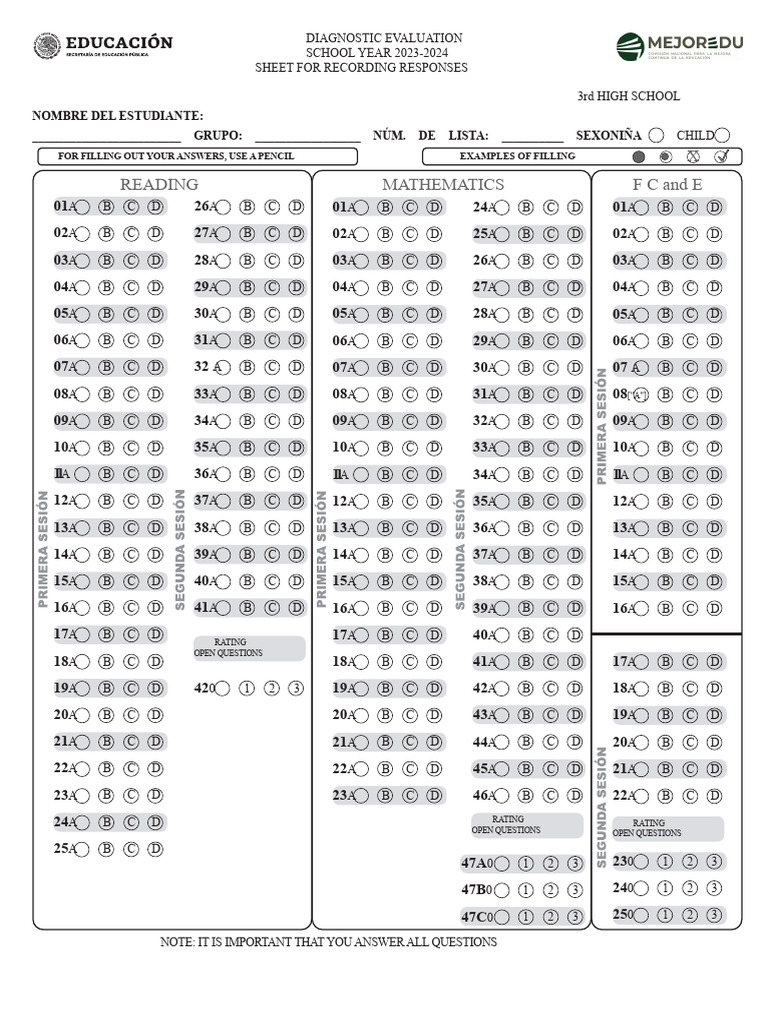 Diagnostic Test 3RD Grade and Answer Sheet | PDF | Hallucination