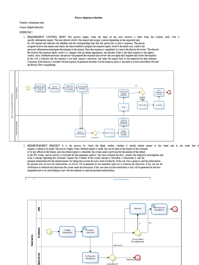 Altamirano Alex Evaluation Process Diagrams | PDF