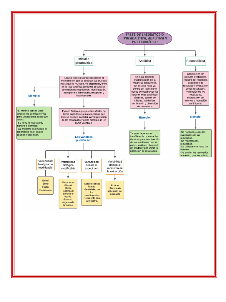 Laboratory Phases | PDF