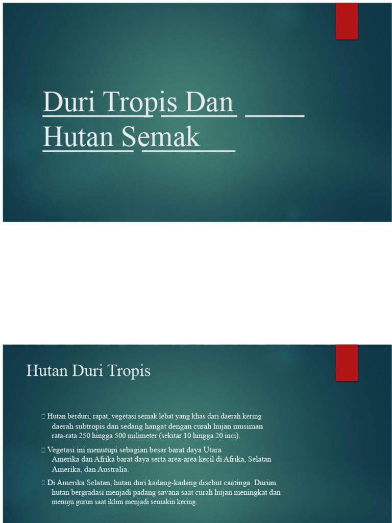 Hutan Duri dan Semak Tropis: Ciri dan Adaptasi | PDF
