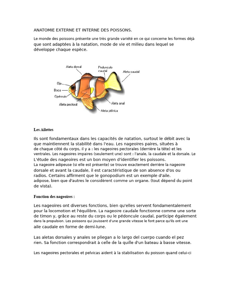 Anatomie Externe Et Interne Des Poissons | PDF | Poisson | Zoologie