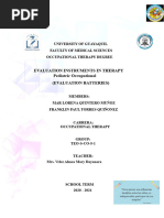 Battelle Developmental Inventory Overview | PDF | Child Development ...