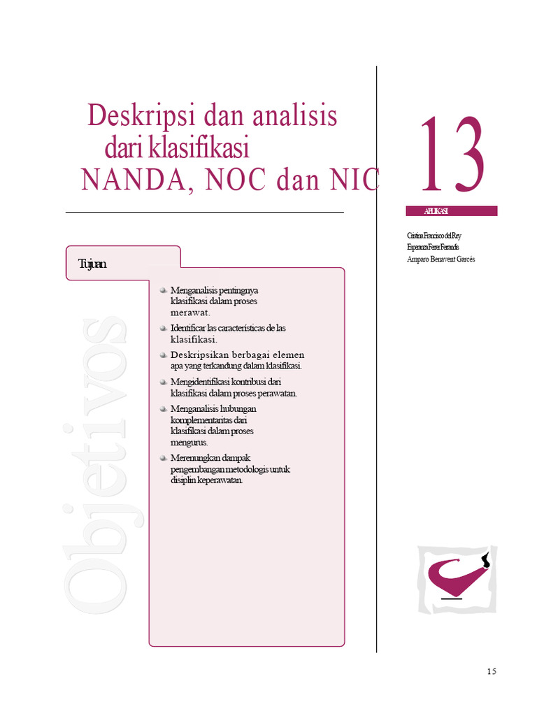Analisis Klasifikasi NANDA, NOC, NIC | PDF
