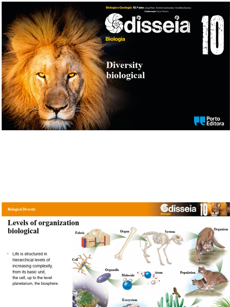 Biodiversity 10th Grade | PDF | Biology | Ecosystem