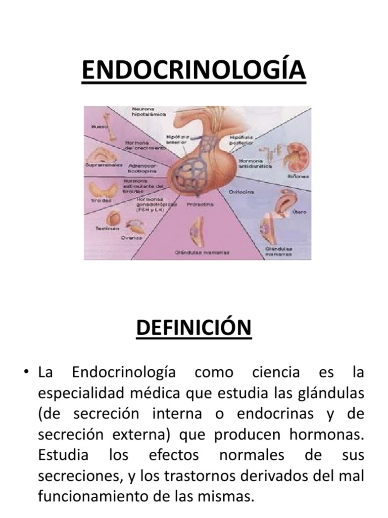 _ENDOCRINOLOGÍA,DEFINICIÓN | Glándula pituitaria | Sistema endocrino