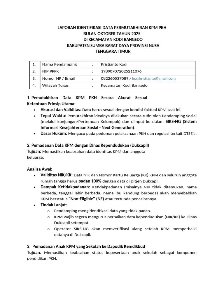 RHK 4 - Laporan Identifikasi Data Permutakhiran KPM PKH | PDF
