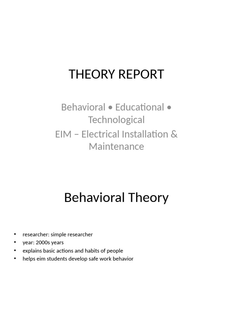 Eim Theory Report Full Long | PDF
