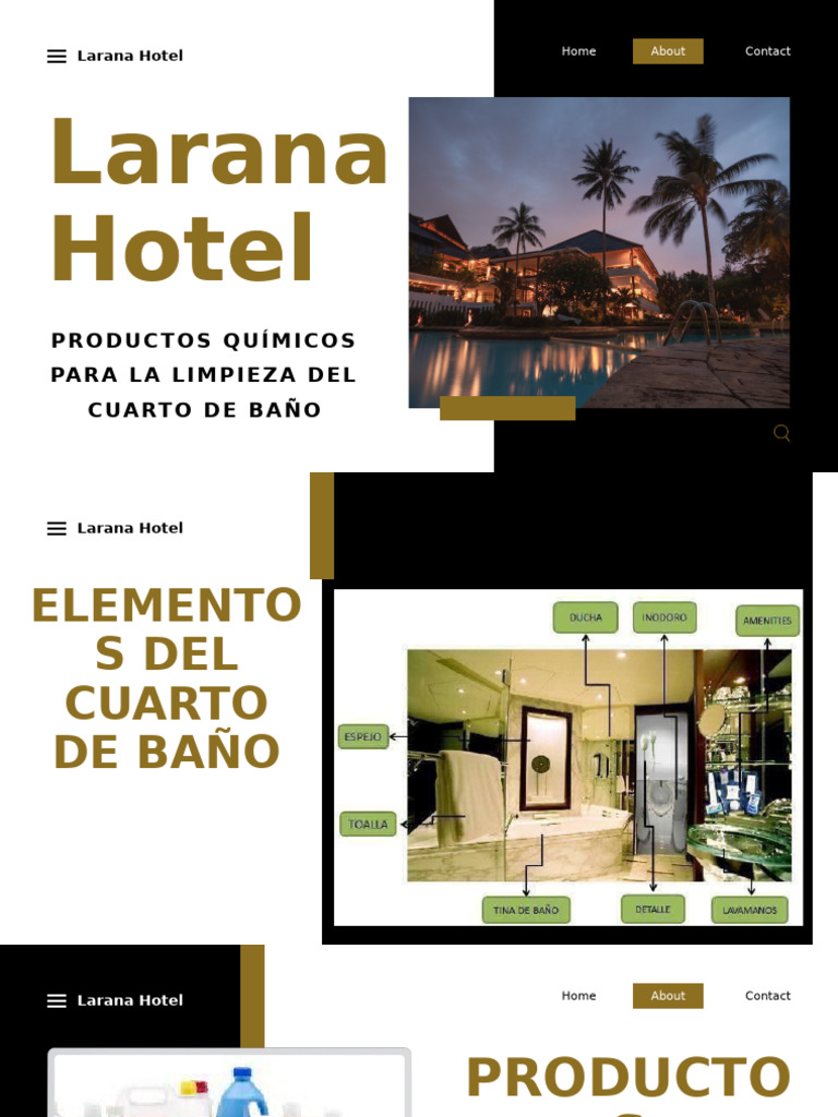 Insumos Limpieza Cuarto de Baños | PDF | Higiene | Limpieza