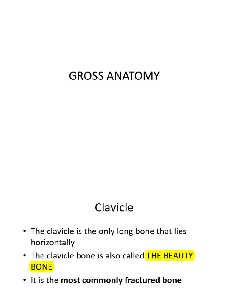 Gross Anatomy Main | PDF | Elbow | Hand